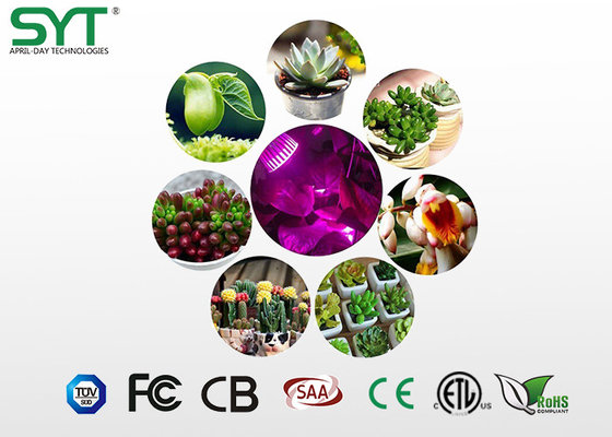 High Powered Horticulture LED Lights For Flowering 300mA Work Current