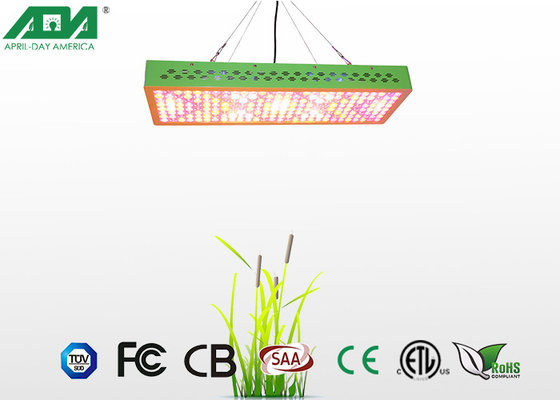 Greenhouse Full Spectrum High Power Led Grow Light / 900w Led Plant Grow Lights