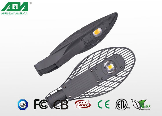 60 Watt Energy Saving Outdoor LED Street Lights For Plazas / Courtyards Lighting System