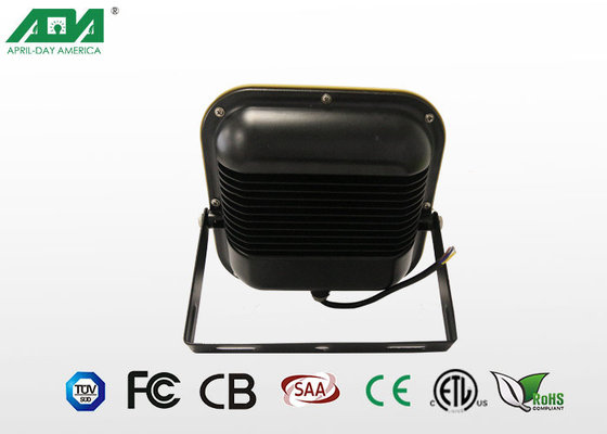 IP65 30W Outdoor LED Flood Lights , Led Garden Light With CE Driver