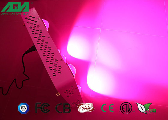High Power 900W 1000W 1200W 1300W 2000W Agricultural Grow Led Lights For Greenhouse