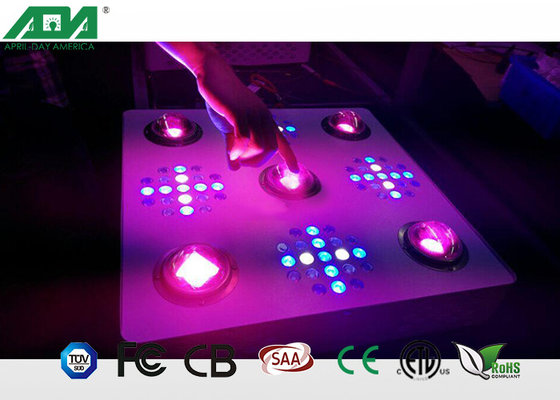 High Power 900W 1000W 1200W 1300W 2000W Agricultural Grow Led Lights For Greenhouse