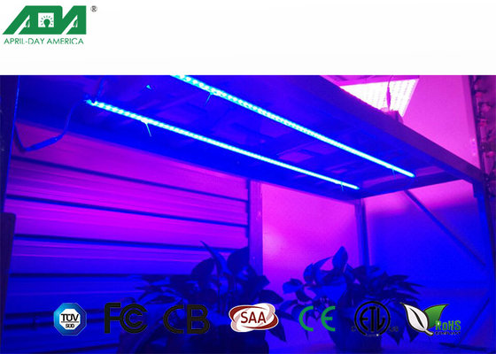 Home Use 0.6m 0.9m 1.2m 1.5m Waterproof Tube LED Growing Light For Shelf Growing Vegetable