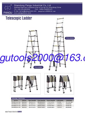 Hot sale Aluminum Multi-purpose GS/EN131 certification 5m telescopic ladder
