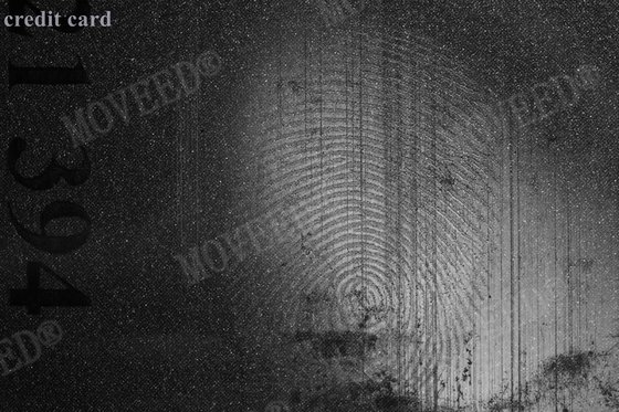MOVEED® Forensic IR&UV Directional Reflected Photography Light Source Lab Equipment  OR-GZP1000