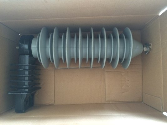 10KA 24kv Polymer lightning arrester for transformer Outdoor