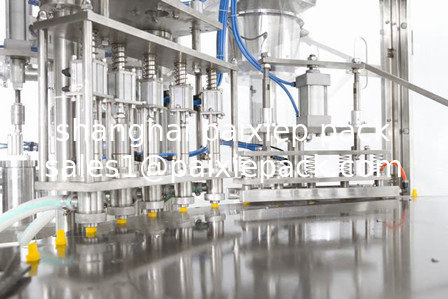 Stainless Steel Water Pouch Filling Machine Liquid Filling Equipment supplier
