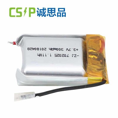 Dual IC Chips Rechargeable Lithium Polymer Battery Fast Charge Capacity