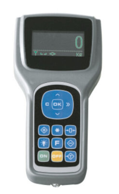 Brans Wireless Crane Scales Hanging Scales Weighing Scales with scoreboard