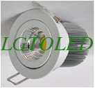 COB 25W Led Ceiling Light