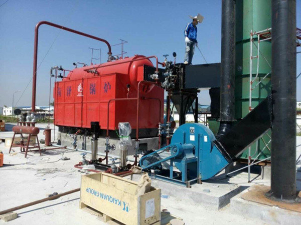Hand Firing Single Drum Horizontal Biomass Wood Fuel Steam Boiler for Factory