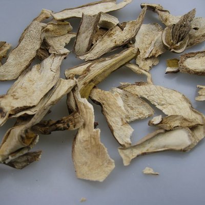 Factory Price Wild Dried Boletus Luteus Slices Grade A in Bulk