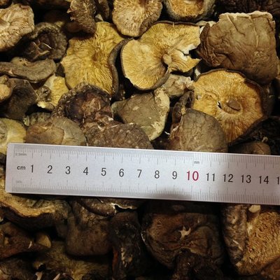 Factory Price Organic Dried Mushroom Shiitake Broken Whole in Bulk