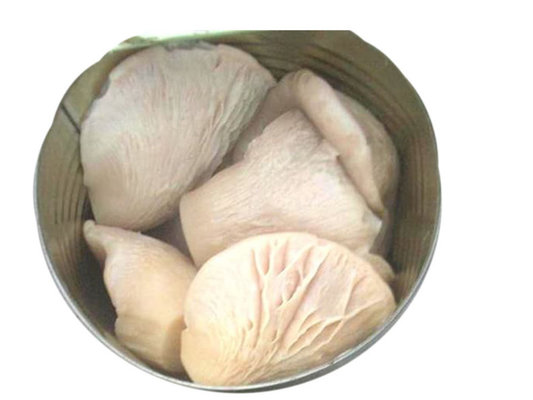 Factory Price Premium NEW SEASON Canned Oyster Mushroom Whole in Brine