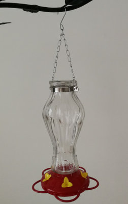 Stainless Chain Hook Decorative Hummingbird Feeders / Hummingbird Feeder Hanger