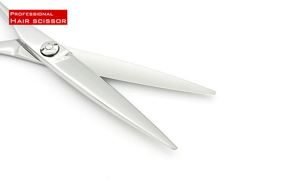 Professional 5.5 Inch Hair Cutting Scissors With Laser Etched