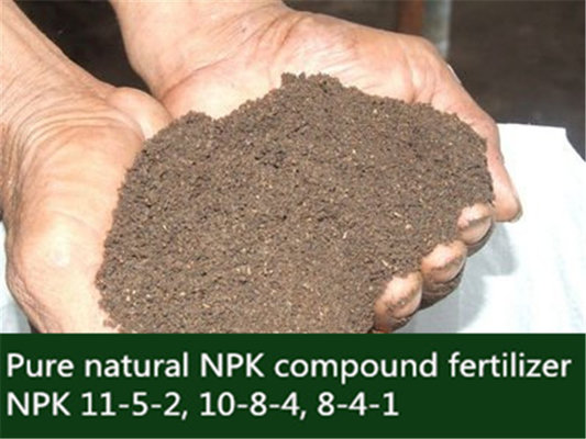 Organic Guano Fertilizer Well-Rounded Nutrition  Making Grow-Boosting