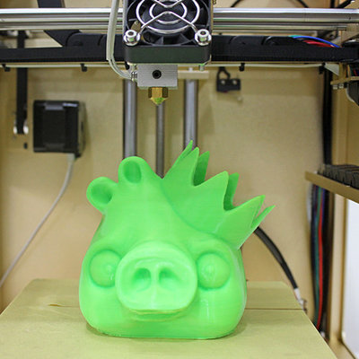 Моделирование высокой точности 3d металла хозяйственного FDM 3d семьи принтера студентов полное