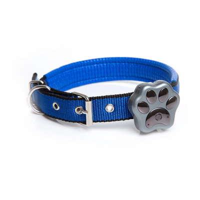Dog Collars Pet Gps Tracker / Waterproof IP66 Animal Gps Tracker