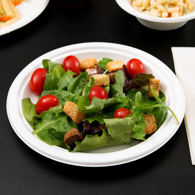 9inch Round Sugarcane plate unbleached biodegradable bagasse pulp plates without compartment