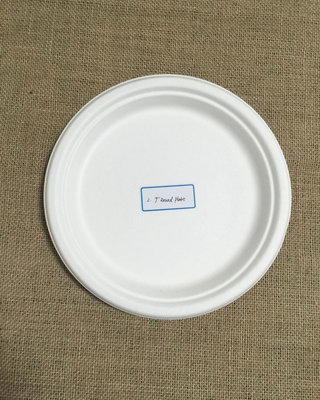 7inch without compartment round bagasse pulp plate biodegradable compostable sugarcane fiber plates