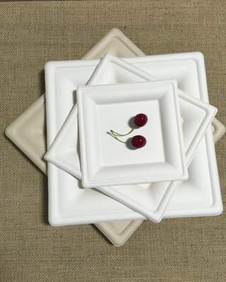 7inch without compartment round bagasse pulp plate biodegradable compostable sugarcane fiber plates