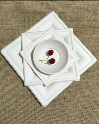 10inch 100% biodegradable bagasse plate square compostable sugarcane plate