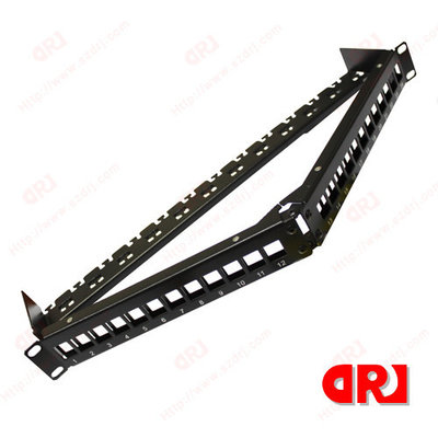 Patch Management Subsystem 24 port Rj45 Rack Mount patch panel with Dual IDC , 45 degree