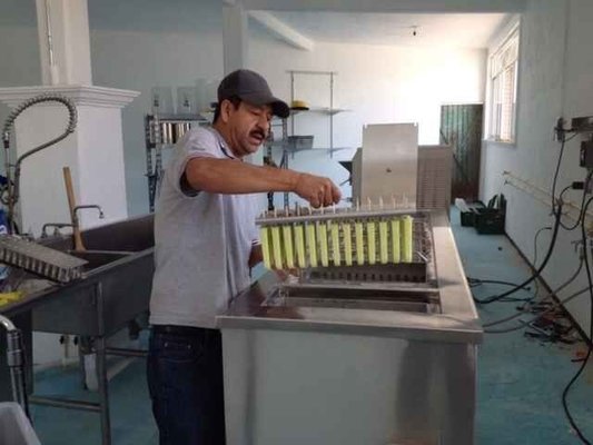 Stainless steel ice cream form ice cream maker ataforma molds with stick extractor hot sale high quality supplier