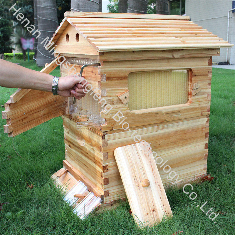 2018 Hive flow factory directly supply pine fir material automatic auto bee honey flow hive with reasonable price
