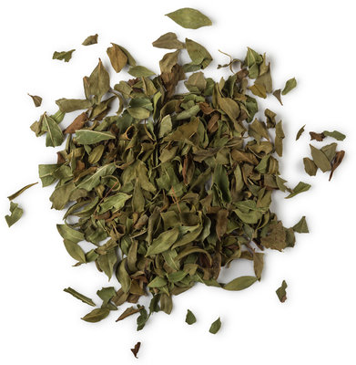 Lawsonia Inermis Extract, Lawsonia leaf Extract, 4:1 TLC, Chinese manufacturer, Shaanxi Yongyuan Bio-Tech