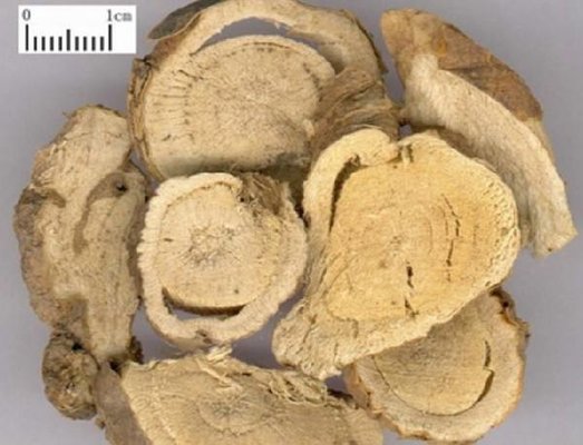 Sophora flavescens Extract, Matrine 98%, CAS No.: 519-02-8, Manufacturer supply, High quality,Shaanxi Yongyuan Bio-Tech