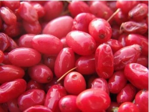 Dogwood extract, Cornus officinalis extract 4:1 TLC, quality assured factory, Chinese manufacturer, Shaanxi Yongyuan Bio