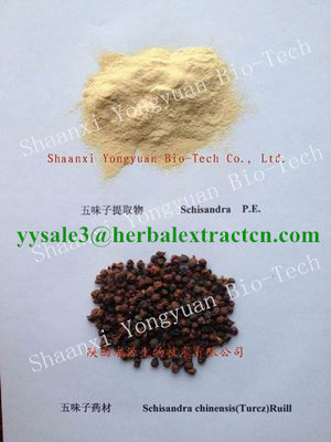 Schisandra chinensis Extract, Schisandrins 2%,5%,9%,  CAS No.: 7432-28-2, Chinese manufacturer, Shaanxi Yongyuan Bio