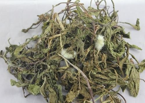Chinese manufacturer Dandelion Extract, Dandelion root P.E.,Total flavone 3%,5% UV, TCM Extract, , Shaanxi Yongyuan Bio