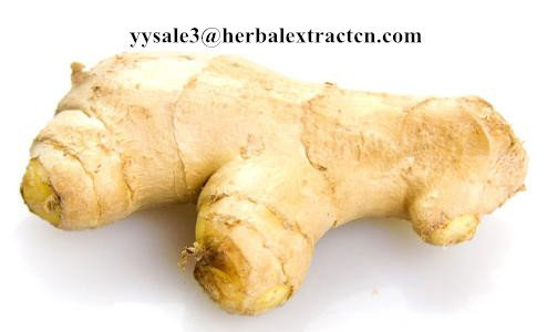 Ginger Extract,Gingerol 5%, CAS No.: 1391-73-7, water soluble Gingerol, food ingredient, factory  Shaanxi Yongyuan Bio