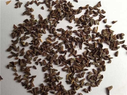Harmine, telepathine 98%, Peganum harmala seed Extract, CAS No.: 442-51-3, Chinese manufacturer, Shaanxi Yongyuan Bio