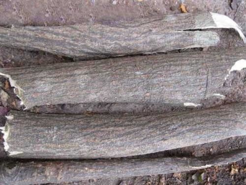 Silk tree Extract, Albizia julibrissin Extract,Albizia Bark Extract 10:1 TLC. Chinese manufacturer, Shaanxi Yongyuan Bio