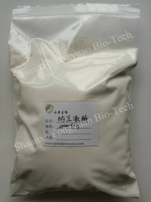 NattaKinase,  20000 FU/g, White Powder, NattaKinase Powder, supplement ingredient,  Shaanxi Yongyuan