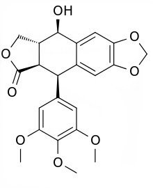 Quality Podophyllotoxin (PPT) 98% HPLC, White powder, CAS No.: 518-28-5, Podofilox, Shaanxi Yongyuan Bio