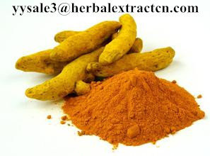Turmeric root extract, Curcumin 95%, water soluble Curcuma longa Extract 10% Curcuminoides, Shaanxi Yognyuan Bio-Tech