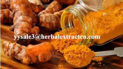 Turmeric root extract, Curcumin 95%, water soluble Curcuma longa Extract 10% Curcuminoides, Shaanxi Yognyuan Bio-Tech