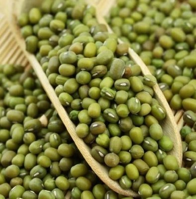 Mung Bean Extract powder,  Phaseolus radiatus seed Extract, Chinese manufacturer, high quality, Shaanxi Yongyuan Bio