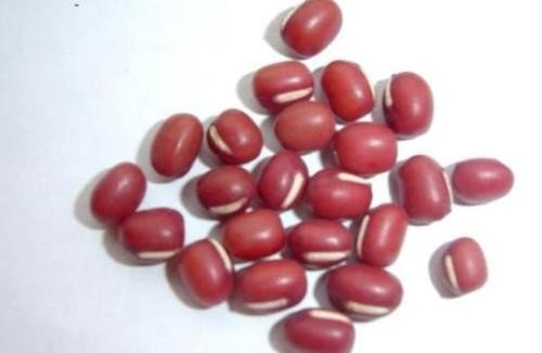 Red Bean Extract Powder, Adzuki bean Extract,10:1, 빨간 콩 추출물 분말,  high quality, manufacturer, Shaanxi Yongyuan Bio