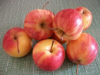 사과 식초 가루 , manufacturer supply Apple Cider Vinegar Powder 5%-10%, Off-White fine powder, Shaanxi Yongyuan Bio