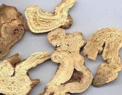 Atractylodes macrocephala Extract Powder, ビャクジュツ エキス, Chinese manufacturer, high quality, Shaanxi Yongyuan Bio