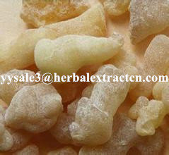 Boswellia Extract Powder, Boswellic Acid 65% Titration, 5:1,Off-white Powder, Chinese manufacturer, Shaanxi Yongyuan Bio
