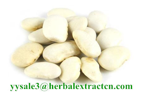 White Kidney Bean Extract, 3000 U/g α-AI Protein(α-amylase inhibitor),100% natural, factory, Shaanxi Yongyuan Bio-Tech