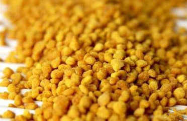 Corn Pollen, Sorghum flower Pollen, 100% natural, Yellow poeder, Manufaturer, Shaanxi YongyuanBio-Tech