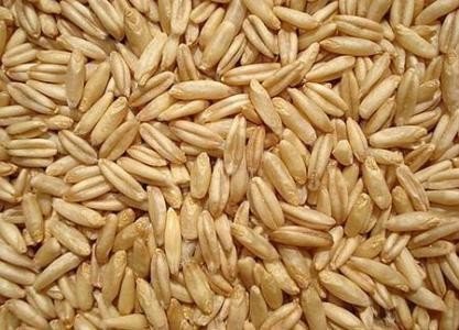 Avena Sativa Extract Beta-Glucan, 20%-70% AOAC, CAS No.: 9041-22-9, Powder and Solution, Shaanxi Yongyuan Bio
